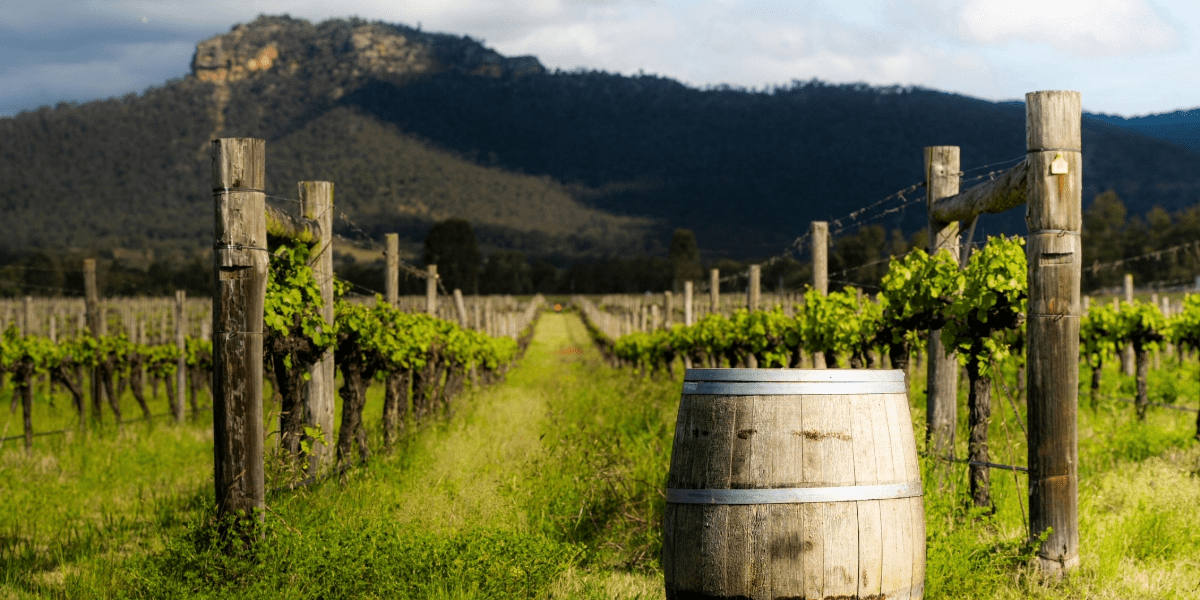 Where To Stay In the Hunter Valley